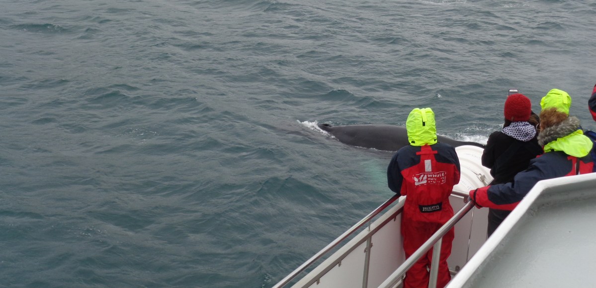 Profiles – Women in the Arctic and Antarctic